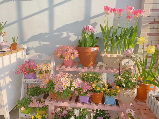 ins风ipad壁纸-花瓣网