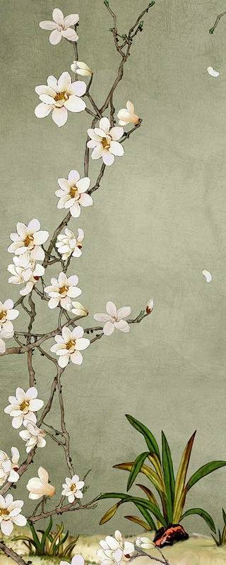 YYT-hn720 (260)-花瓣网