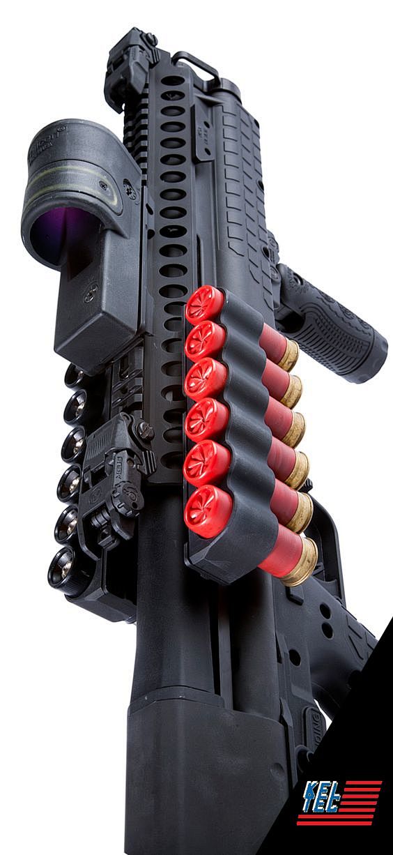 Kel-tec KSG 12ga pump shotgun, Mesa Tactical SureShell carrier, Trijicon RX30, vertical grip