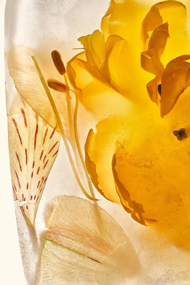 Original Art Color Photography, measuring: 70W x 100H x 0.1D cm, by ...