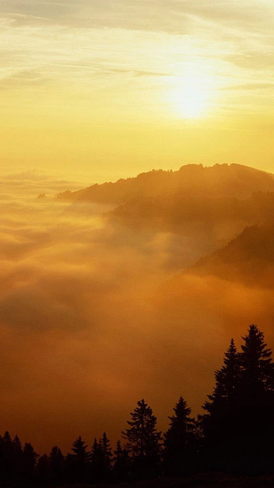 人生，过路客不说唏嘘。人间，你和我不过寄居。-花瓣网