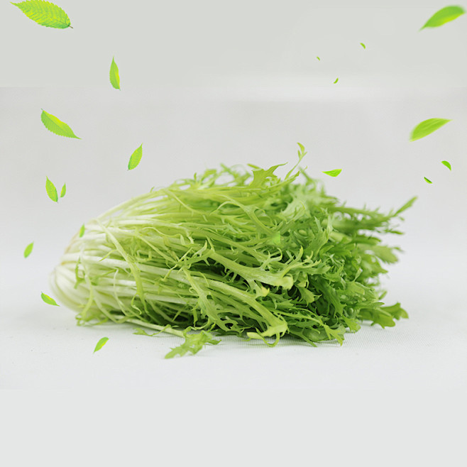 苦菊250g 新鲜苦叶苦苣苦菜生菜 沙拉菜-淘宝网