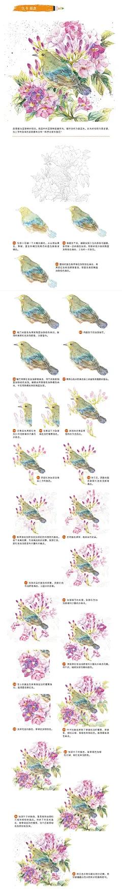 【水彩技法教程】图片大全-【水彩技法教程】高清好看的图片--花瓣绘客的画板