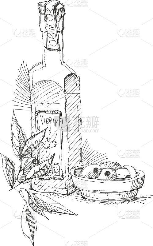 手绘橄榄油瓶和橄榄