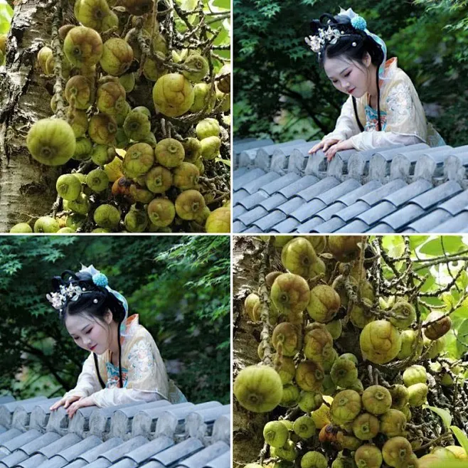 花瓣灵感详情页-花瓣网