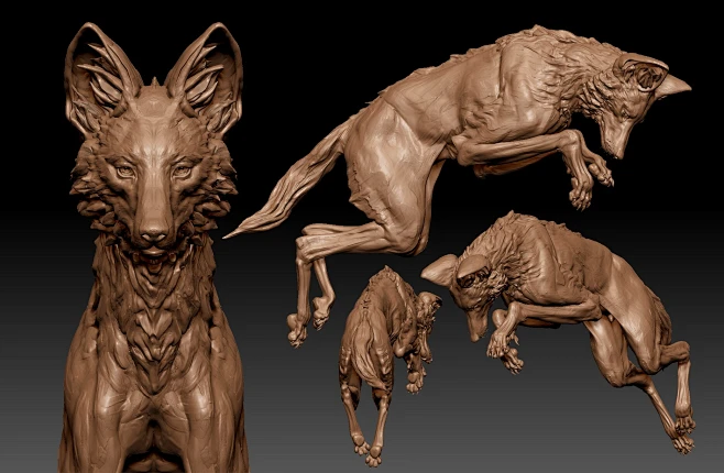Maned Wolf anatomy study (WIP), Chunlin Yang : work in progress. Will ...