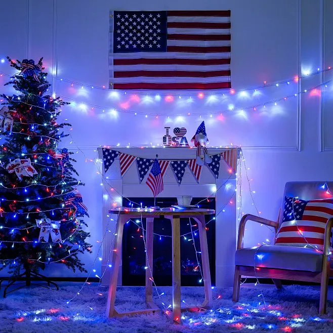 JMEXSUSS Red White & Blue Lights Clear Wire, 66 Ft 200 LED 4th of July ...