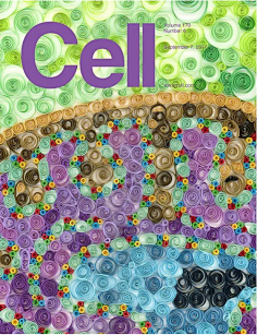 cell封面-花瓣网|陪你做生活的设计师 | c7366f7ca9094e8_img_000 (800×1040)