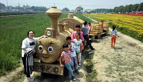 桐庐江南荻浦花海稻草明星受追捧-浙江省非物质文化遗产网 浙江非遗网(1)-花瓣网