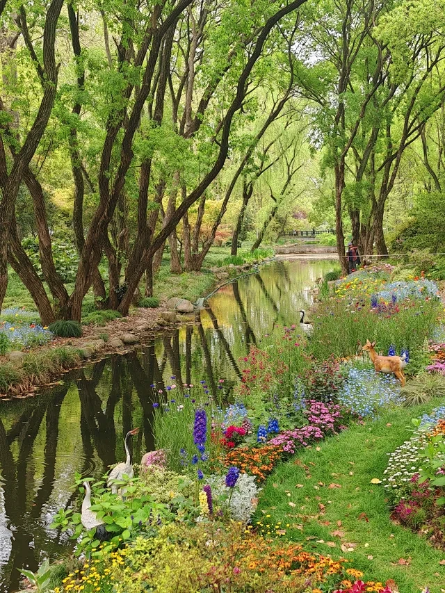 景观设计师的莫奈花园-花瓣网