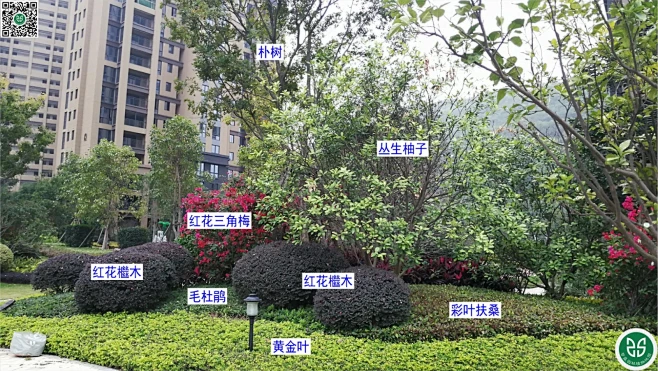 fe08e818-7b36-44ff-8ddc-bf3ed1e54b32.jpg-花瓣网