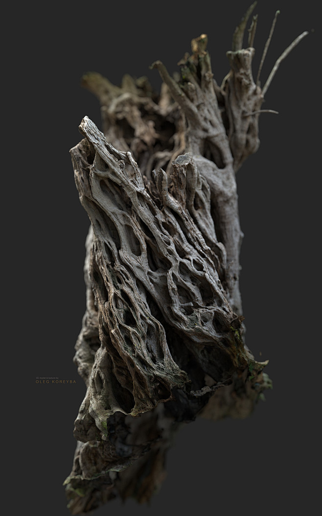 k-o-r-e-y-b-a-ancient-tree-02-10milpoly-2x16k-217-s