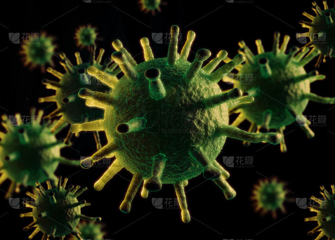 细菌。病毒。微生物学。电子显微镜。