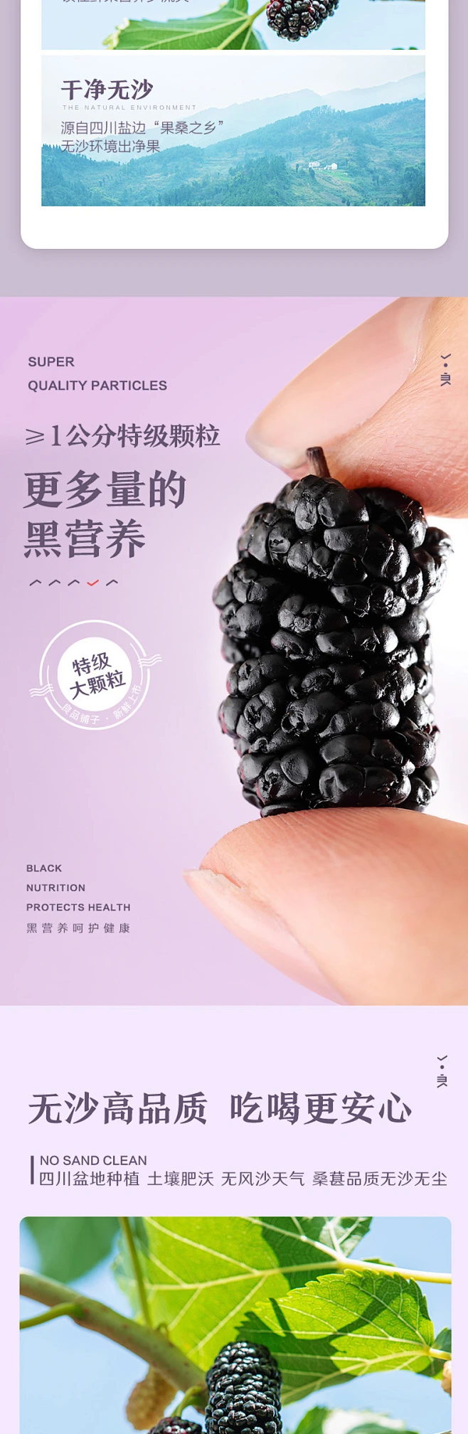 新品【良品铺子-黑桑葚干188g】桑葚干黑桑椹特级泡水即食免洗-tmall.com天猫-花瓣网