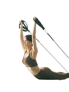 图片_pixian_ai-73-花瓣网