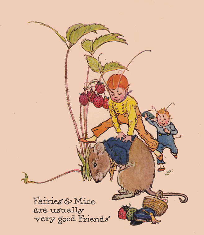 Fairies and mice “Grasshopper Green and the Meadow-Mice” written and ...