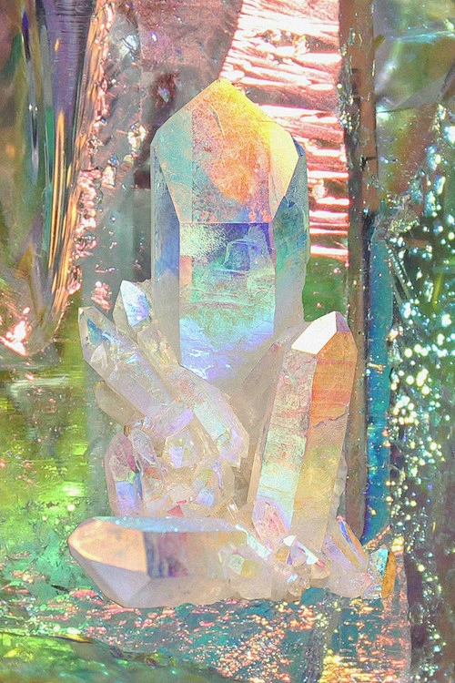 kuangshi (2628)-花瓣网