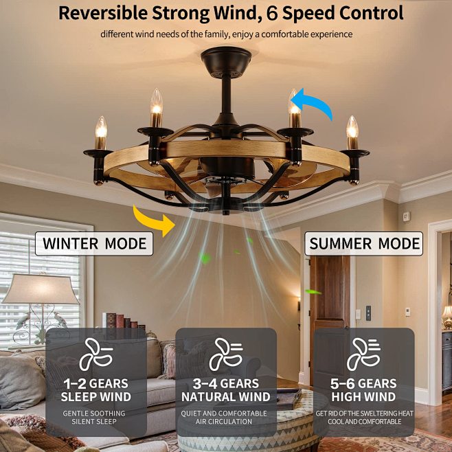 MADSHNE 32" Caged Ceiling Fans with Lights and Remote, Farmhouse ...