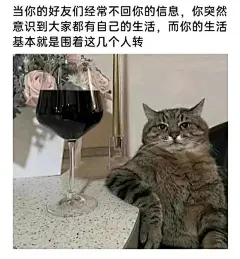 猫meme图片大全-猫meme高清好看的图片--花瓣用户7WkqP0Br的画板