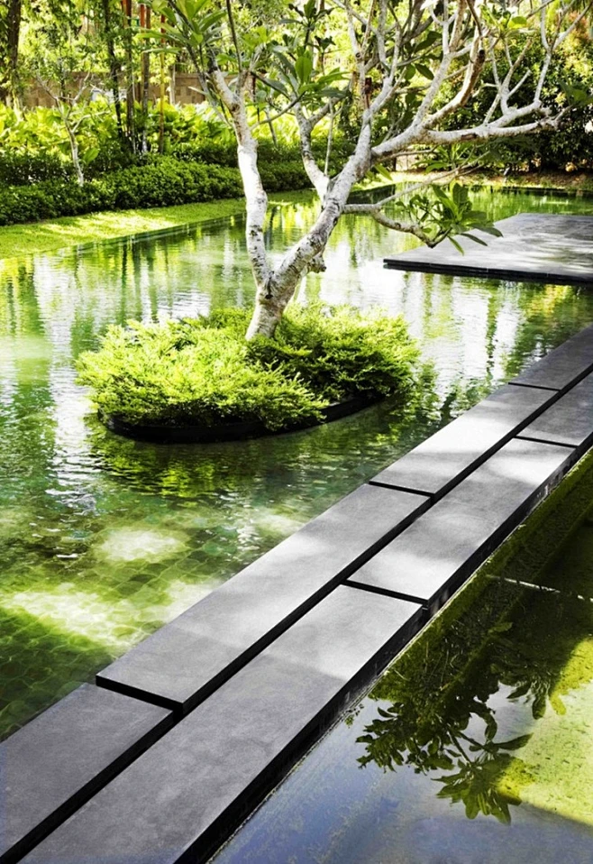 . green pool/pond-花瓣网