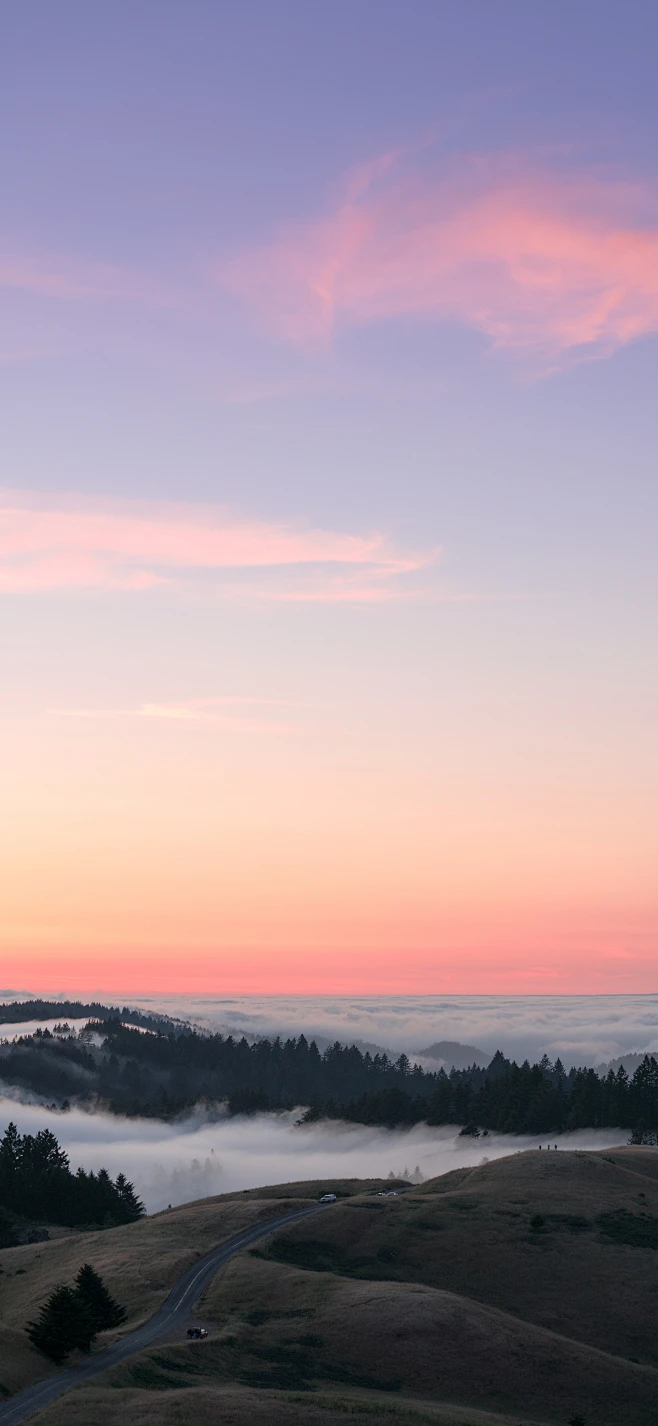 手机壁纸-花瓣网