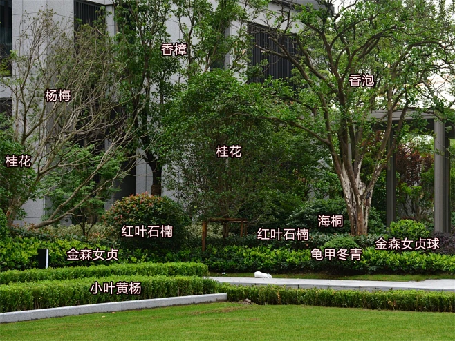 上海阳光城滨江悦（2021年7月）-花瓣网