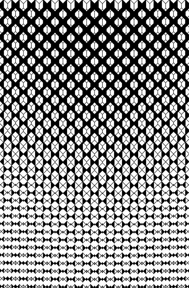 IMG_4071.JPG 657×1,000 pixels