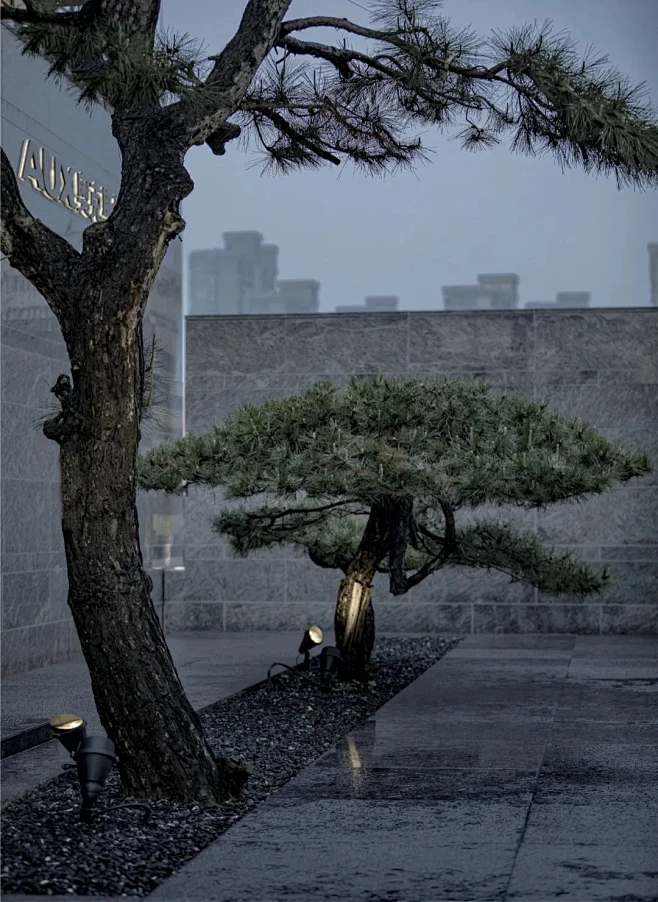 640.webp (2).jpg-花瓣网