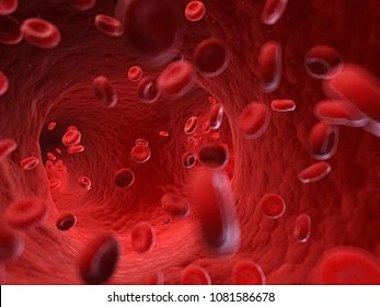 血栓库存照片3010784 %7C Shutterstock_a4ce75ef-花瓣网