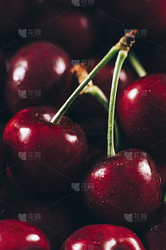 樱桃微距特写素材-花瓣网