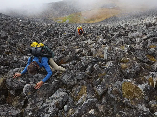 花瓣灵感详情页-花瓣网