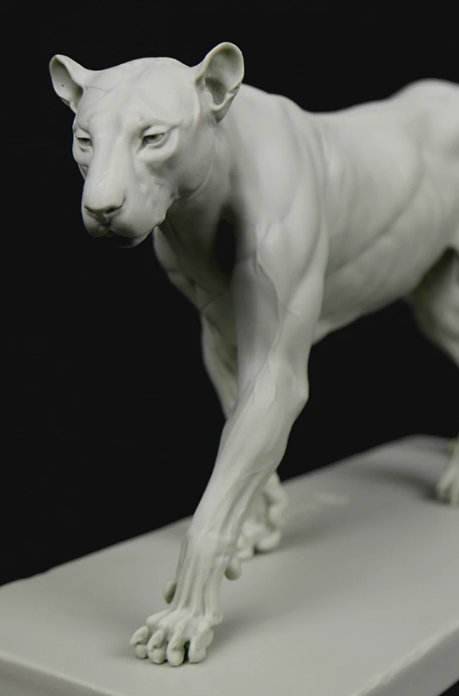 3dtotal Anatomy: 3 piece set of animal figures : PLEASE NOTE: These ...