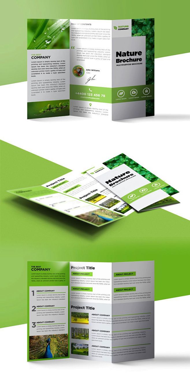 3 Fold Brochure Template Free
