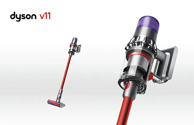 Dyson V11™ 系列-花瓣网