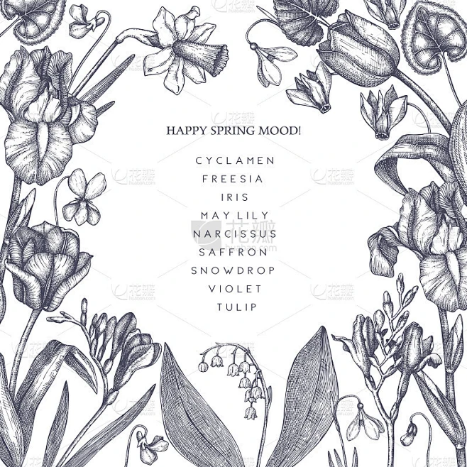 Spring flowers design素材-花瓣网