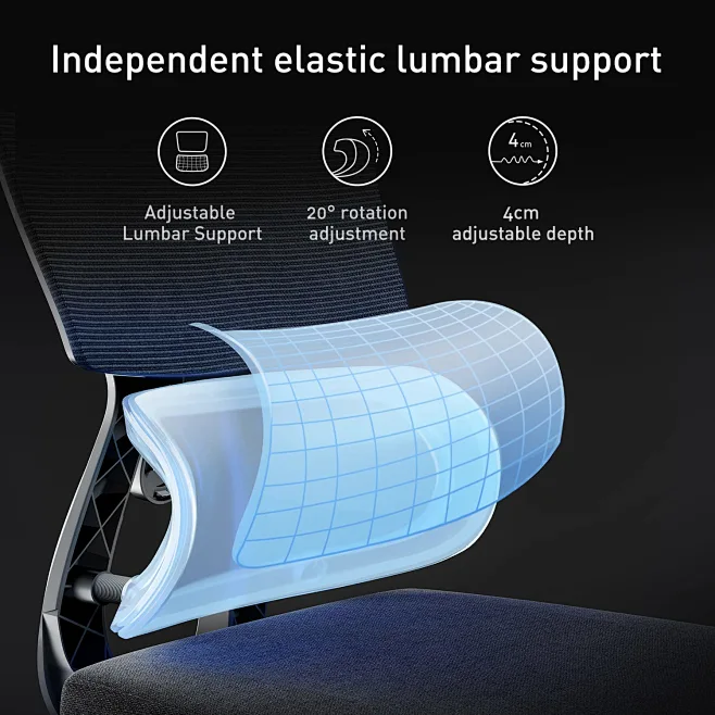 Amazon.com: Hbada E2 Ergonomic Office Chair High Double Back Lumbar ...