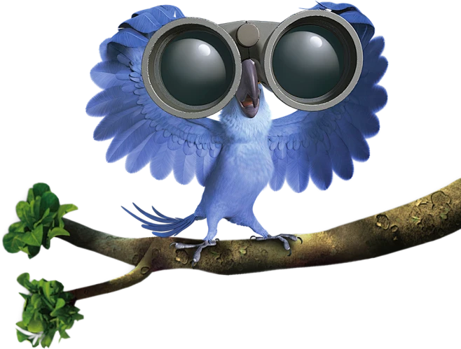 Rio 2 Official Movie Site - Posters : RIO returns in RIO 2 joined by a ...