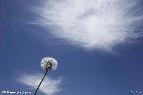 ppt背景图片 可爱_百度图片搜索-花瓣网