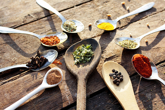 不同的勺子里装着不同的物种