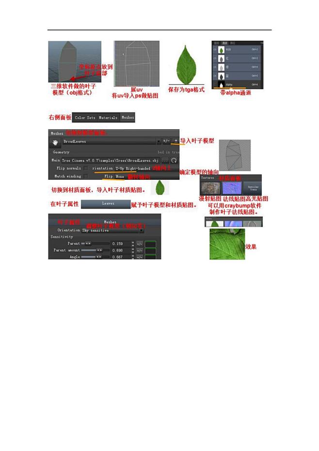 Speedtree学习笔记_11