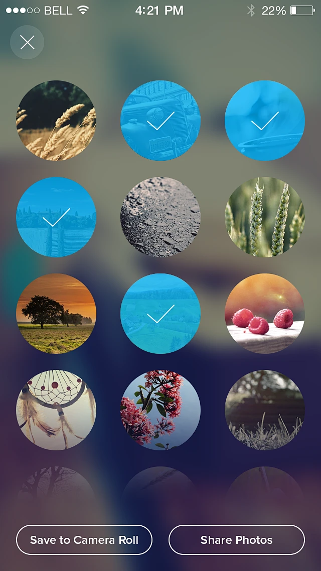 Real-pixels-花瓣网