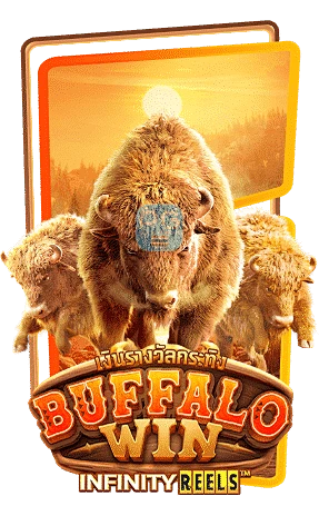 Buffalo win ทดลองเล่นสล็อต pg เกมใหม่ เล่นฟรี-花瓣网