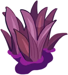 美卡植物图片大全-美卡植物高清好看的图片--花瓣Achimonde的画板