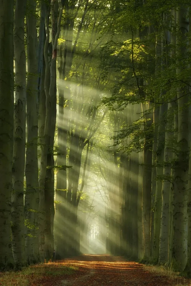 摄影师 Martin Podt-花瓣网