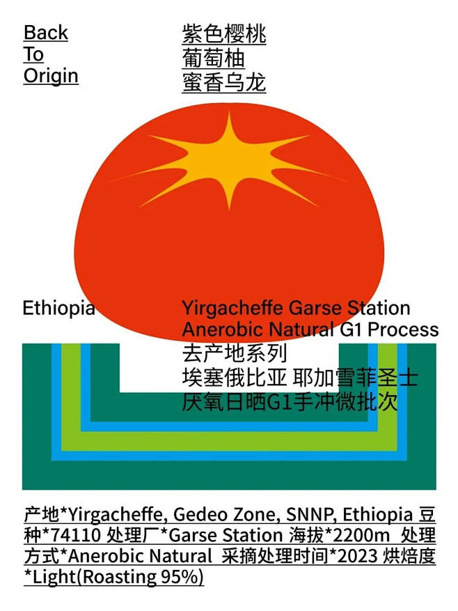 治光师上新｜新产季埃塞俄比亚咖啡_1_beam timer治光师_来自小红书网页版-花瓣网