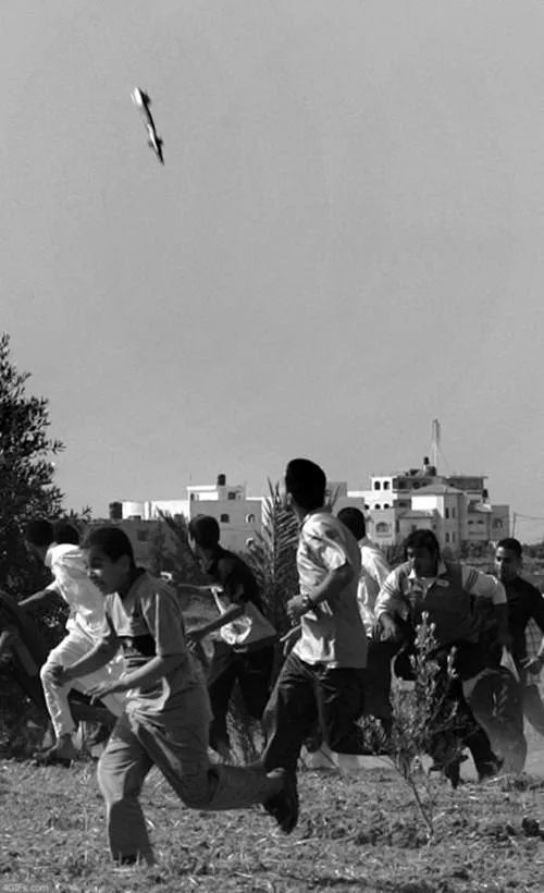 (102) Pinterest-花瓣网