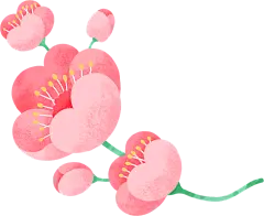 canva-%E5%A6%87%E5%A5%B3%E8%8A%82%E5%A5%B3%E6%80%A7%E6%9D%90%E8%B4%A8 ...