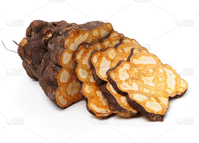 The Chinese medicine Polygonum multiflorum素材-花瓣网