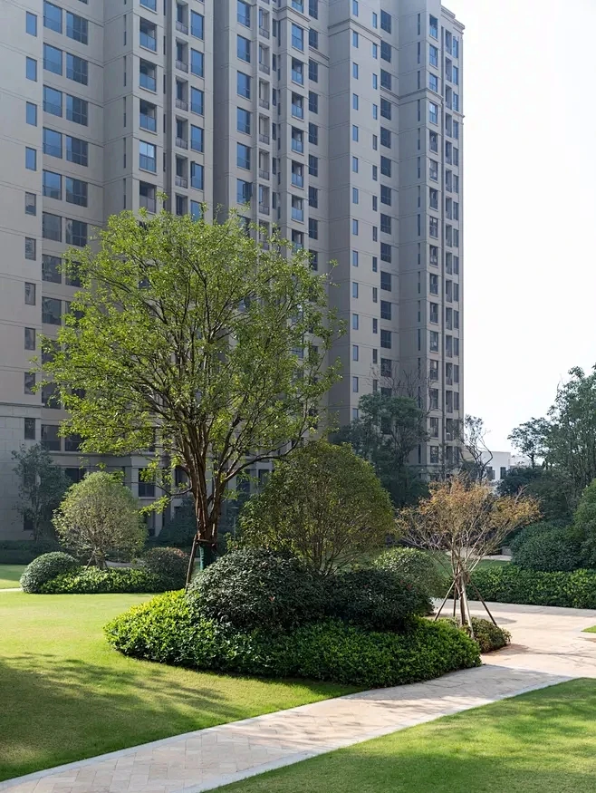 webp.webp (89)-花瓣网