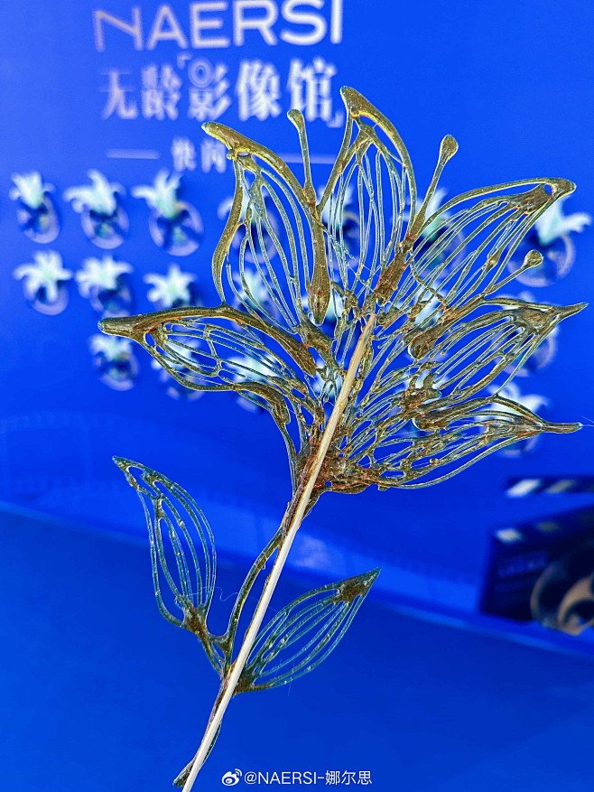 NAERSI「无龄影像馆」全国快闪巡展（深圳）-画糖